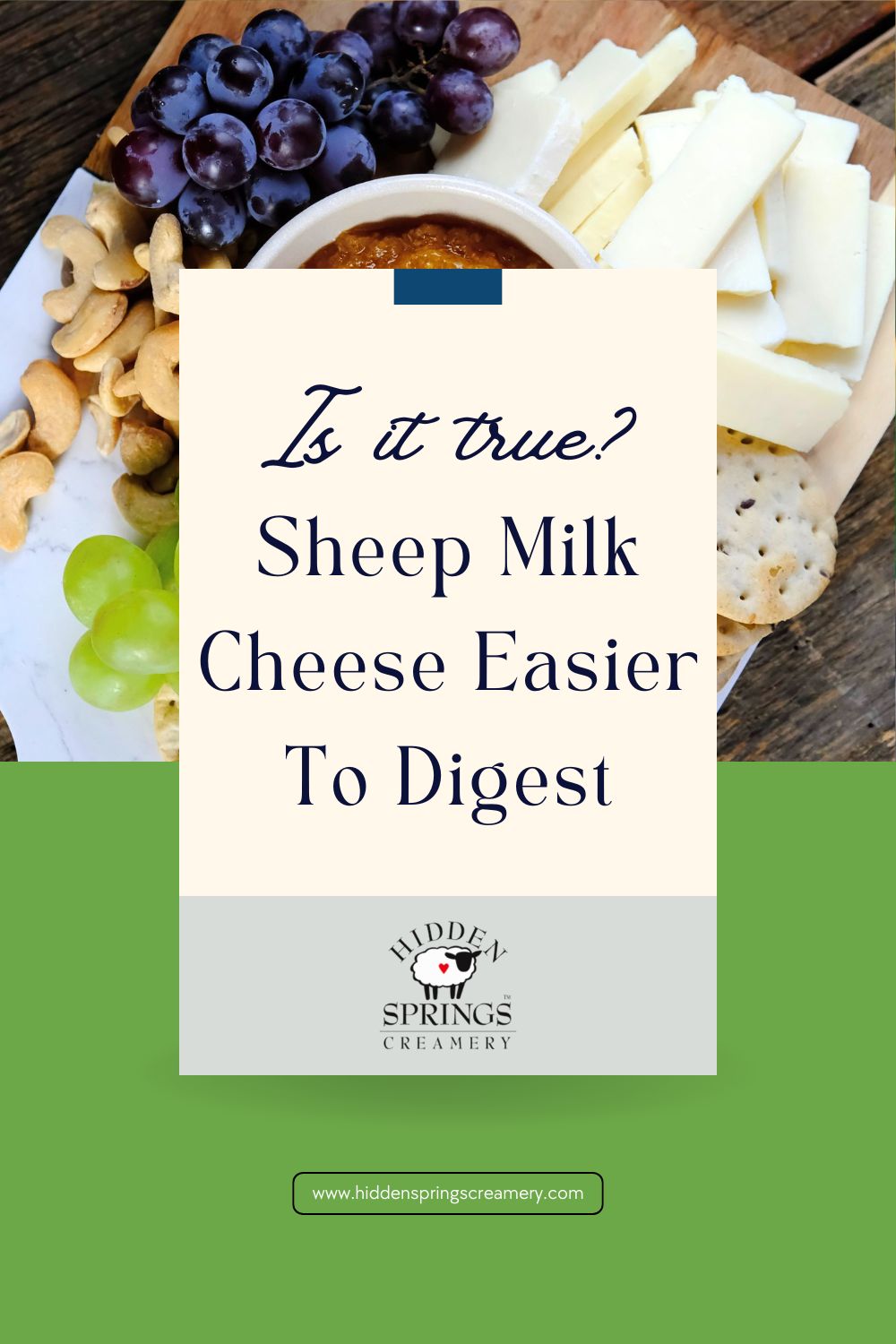 Is Sheep Milk Cheese Easier to Digest – Hidden Springs Creamery