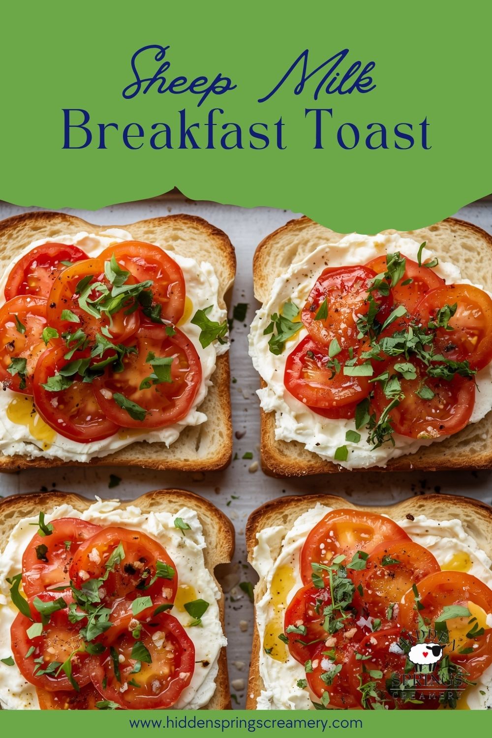 Sheep Milk Cheese Breakfast Toast – Hidden Springs Creamery